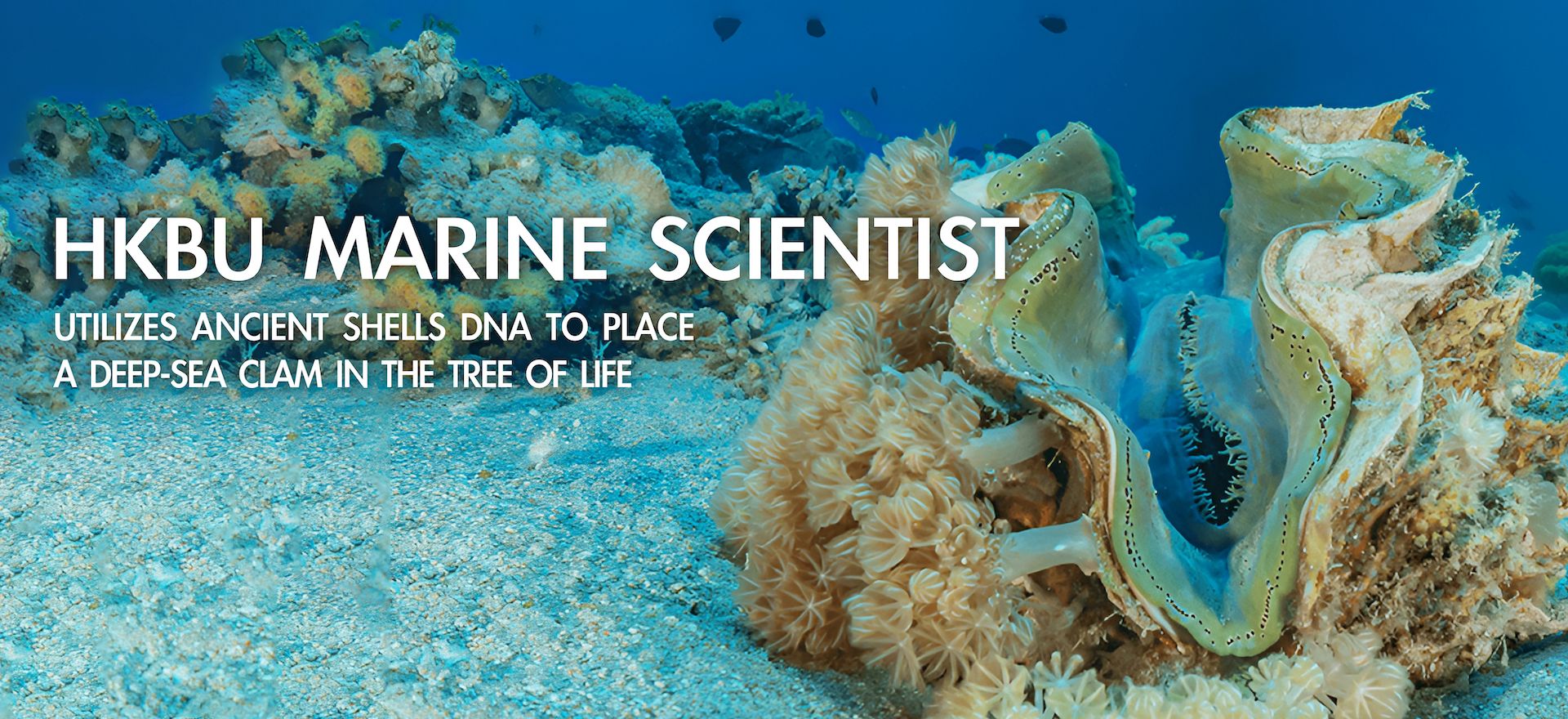 faculty_of_science_hkbu